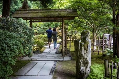 Library | City of Wilsonville Oregon